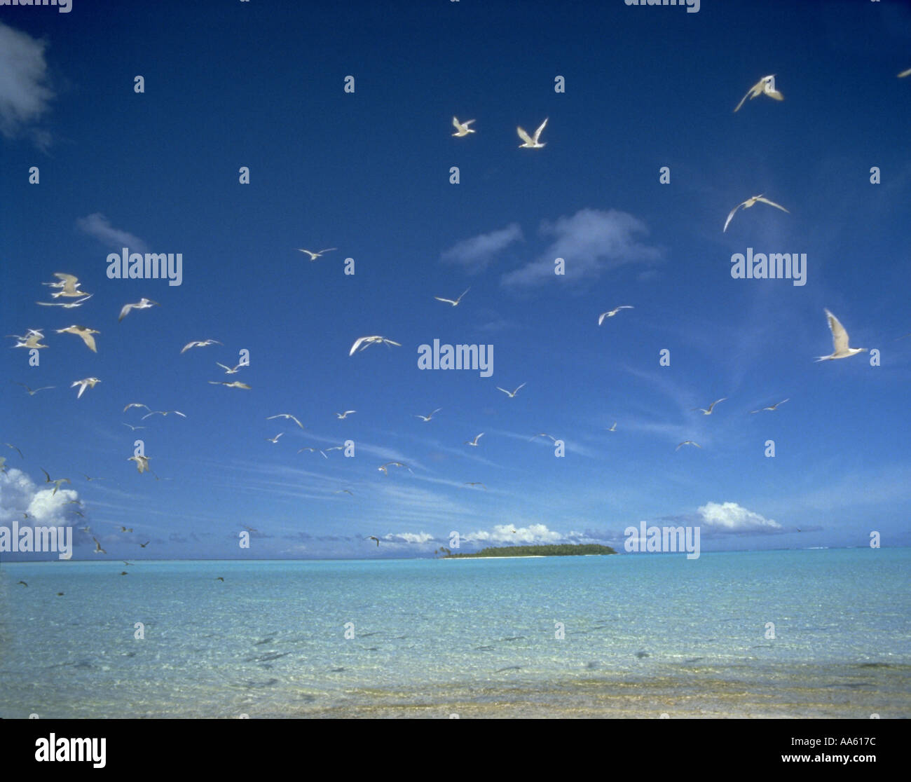 Tetiaroa, tahiti hi-res stock photography and images - Alamy