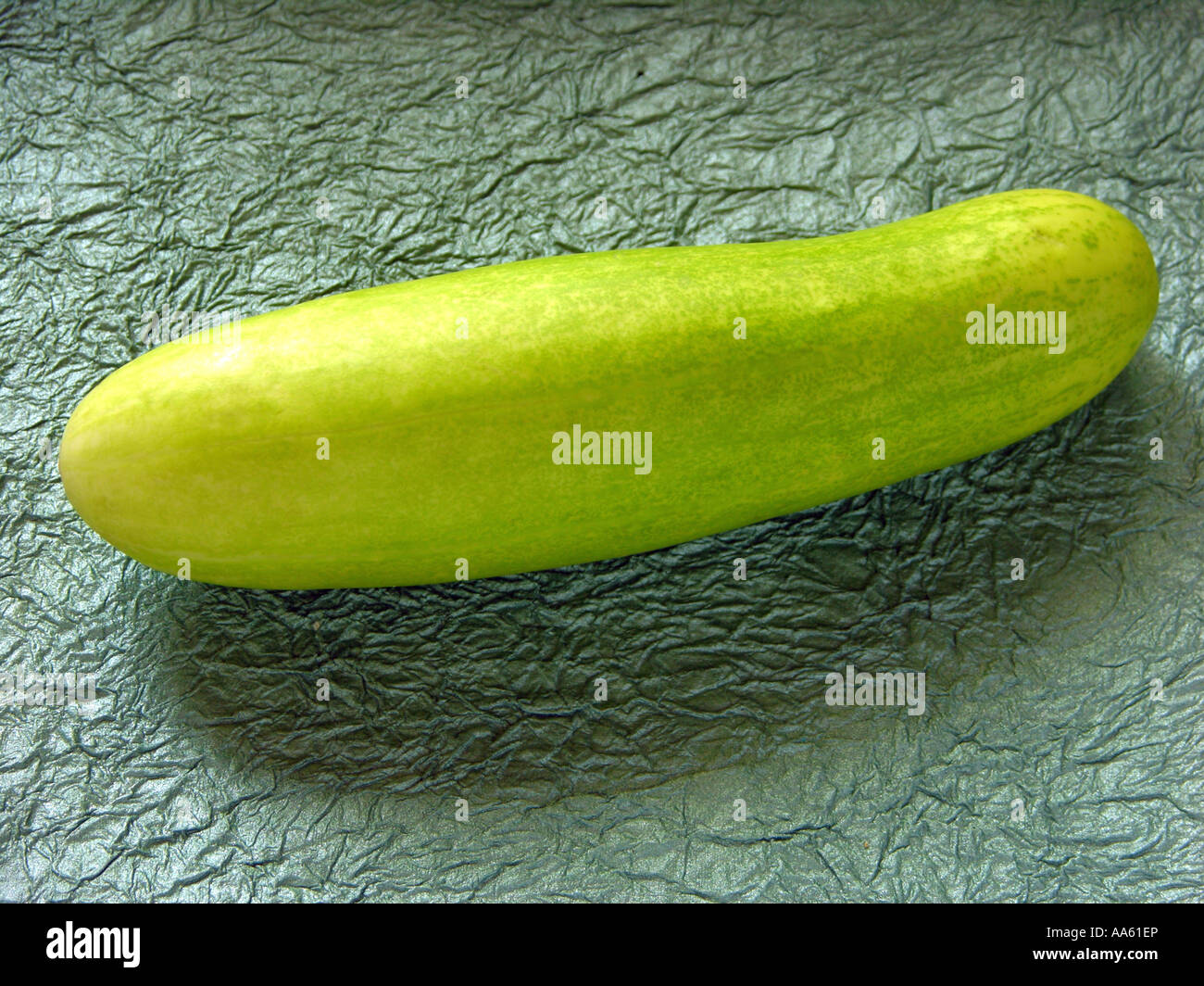 Cucumber one piece green vegetable on blue background Stock Photo - Alamy
