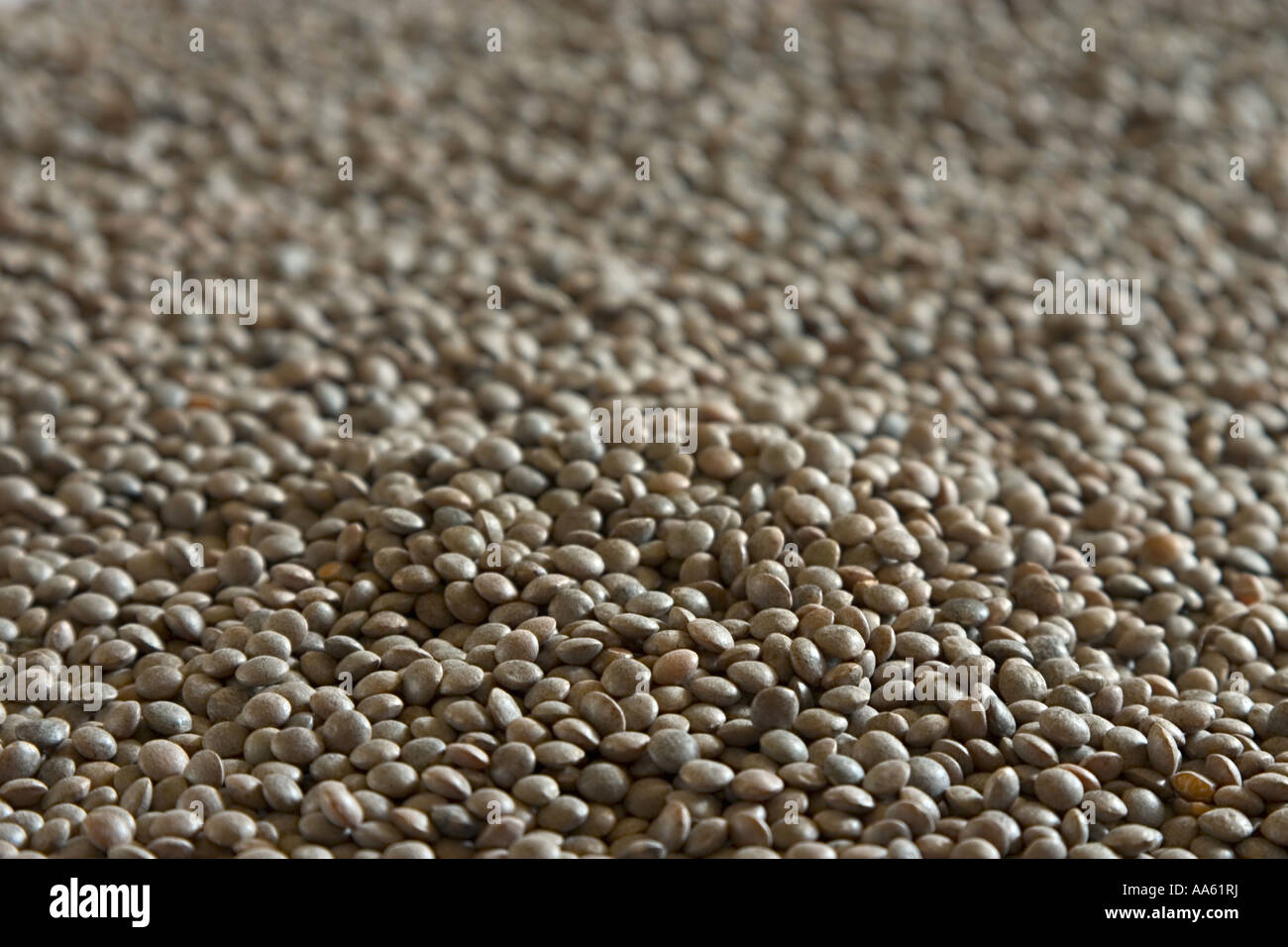 Masoor Whole Red Lentils Stock Photo - Alamy