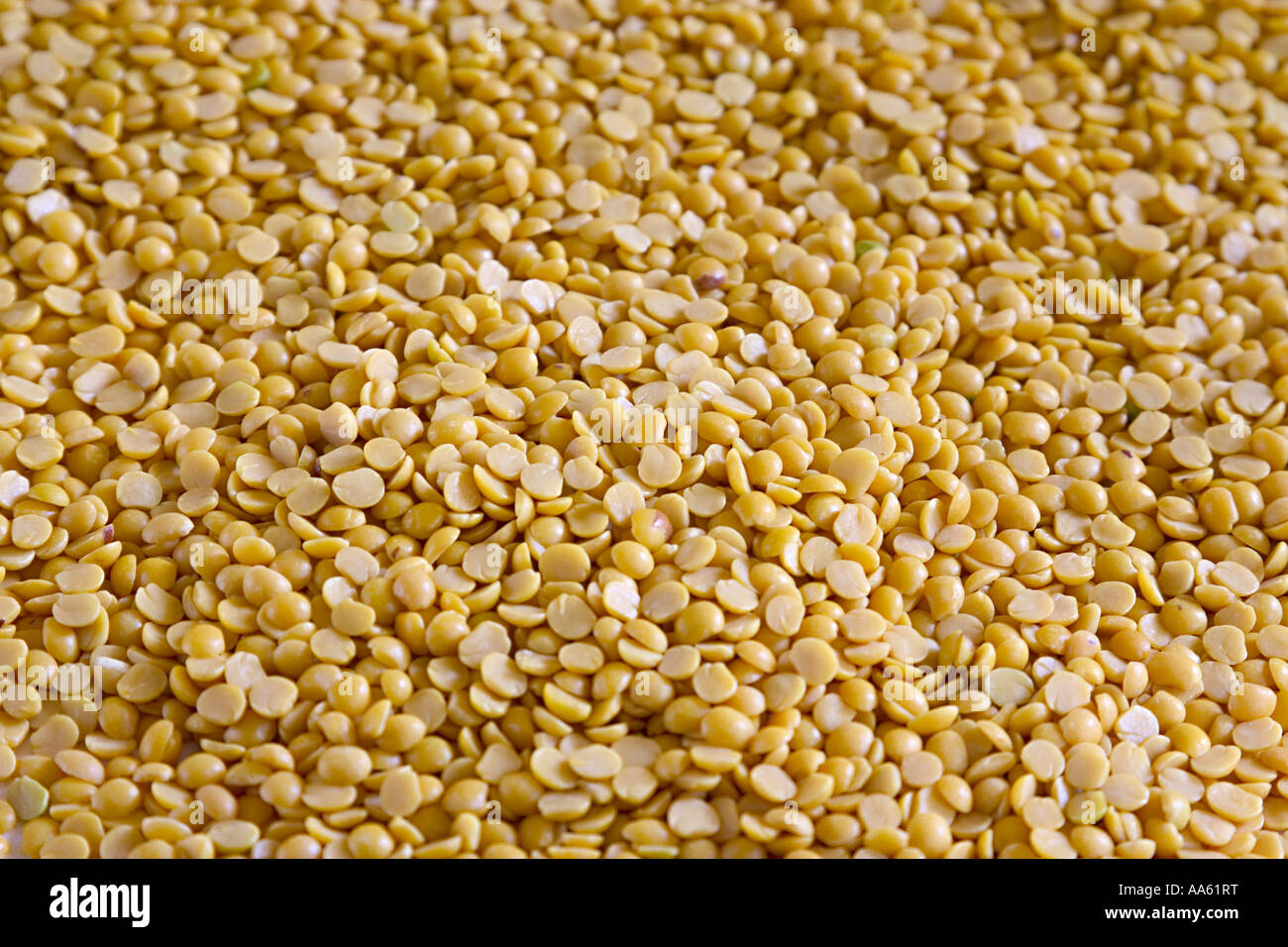 Toor Arhar Dal Yellow Lentils Stock Photo - Alamy