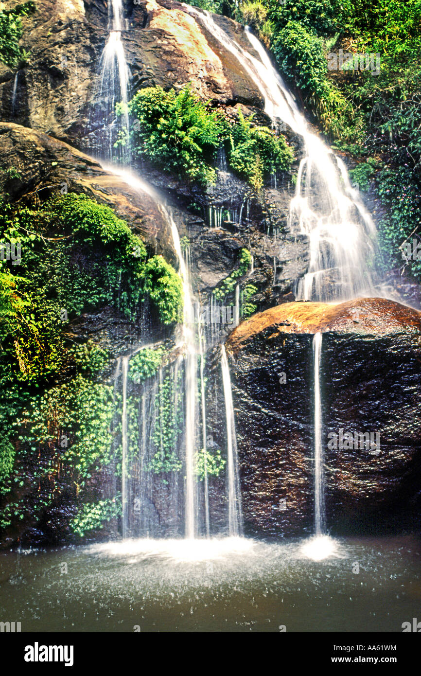 PKK103732 Water fall and green moss near Rajamala Munnar Idukki ...