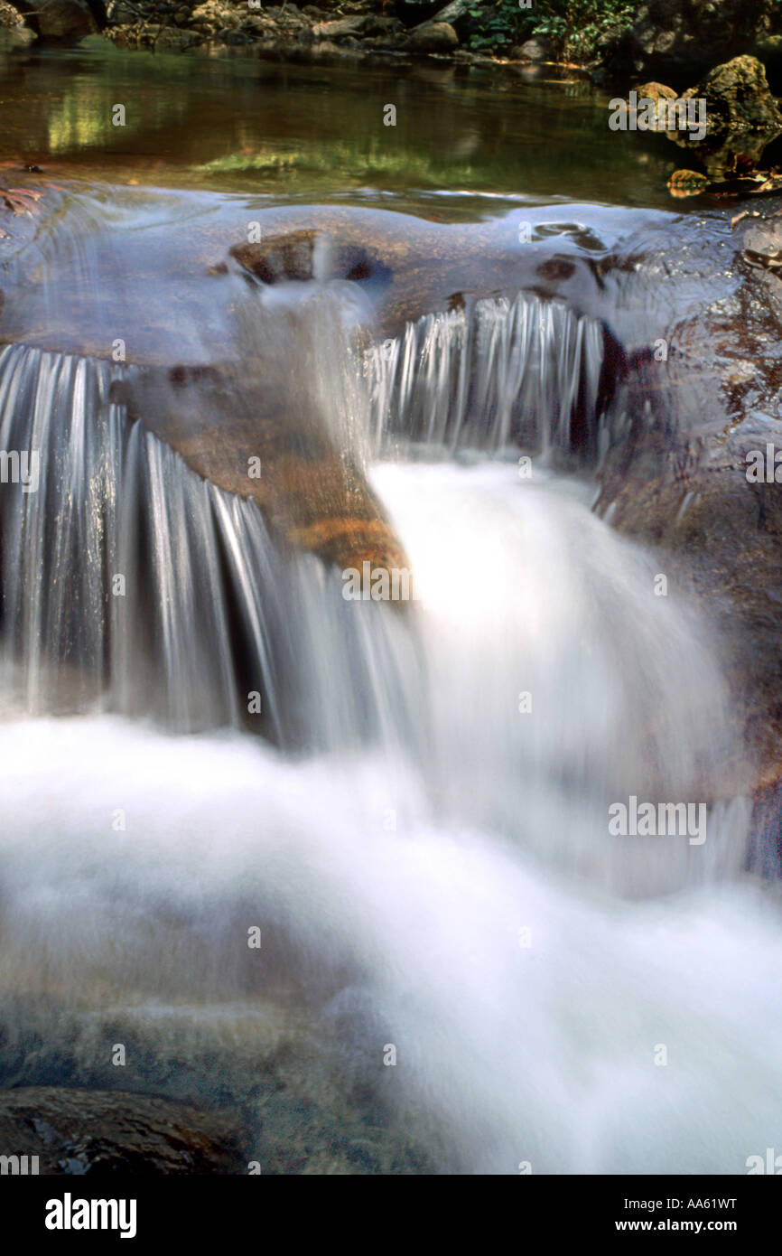 Waterfall rivulet, Kallar river, Ponmudi, Trivandrum, Kerala, India ...