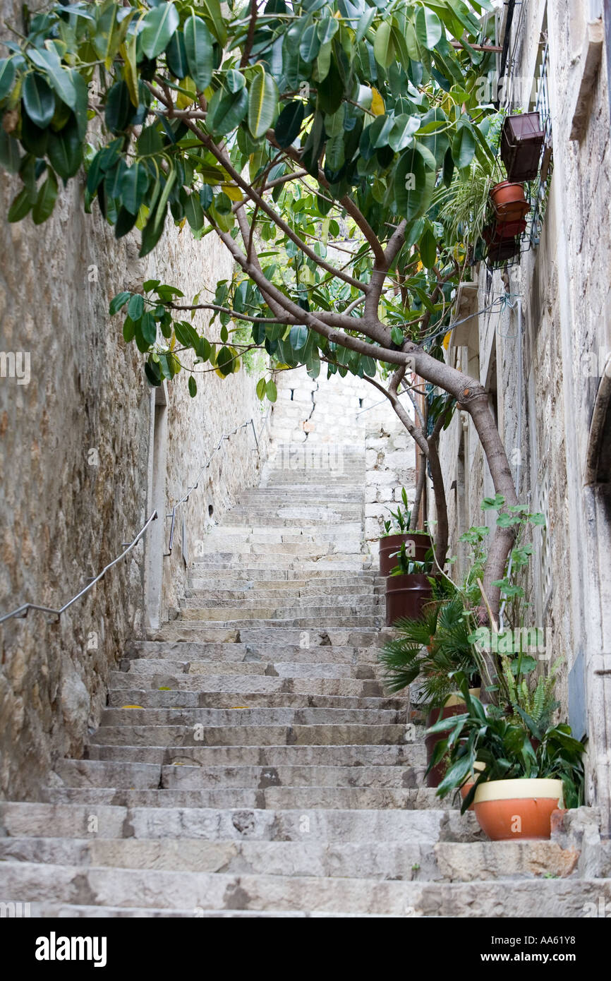 Stairs in Dubrovnik Typical Narrow Street Croatia Stock Photo - Alamy