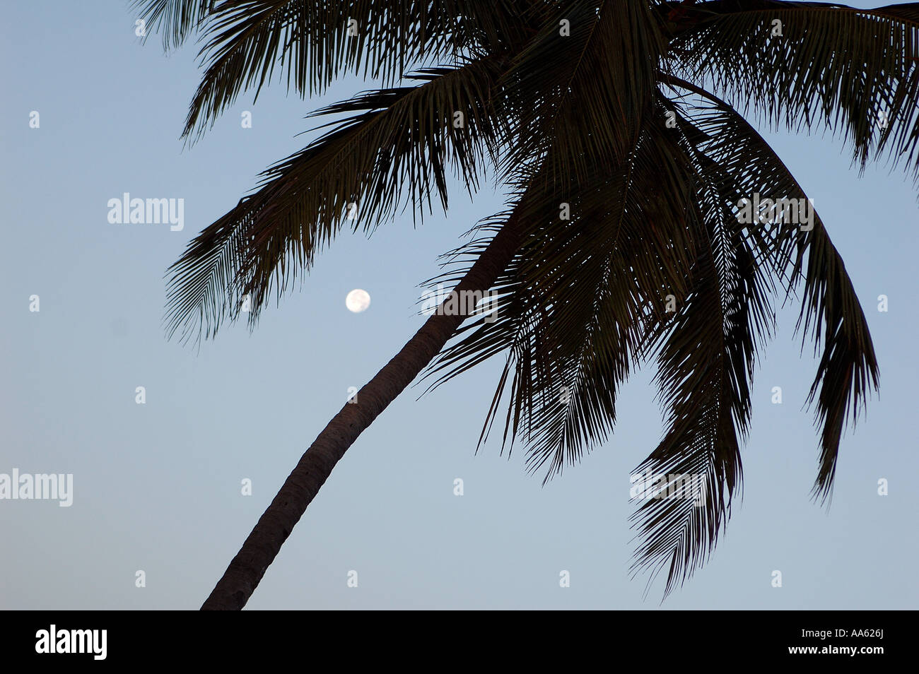 Single moon hi-res stock photography and images - Alamy