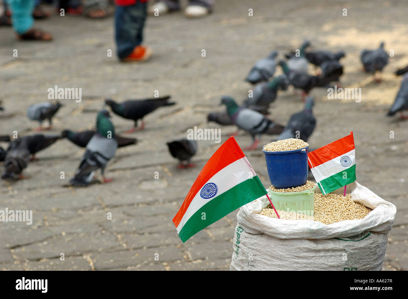 VEP104420 Indian flag on a sack of bird pigeon feed millets and grains ...
