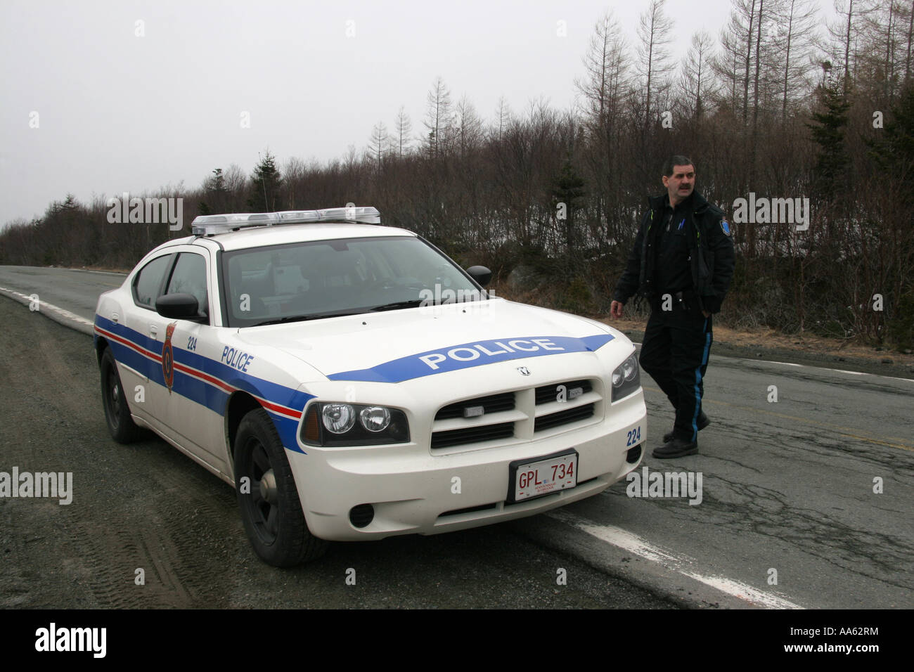 Royal Newfoundland Constabulary police officer and car Stock Photo - Alamy
