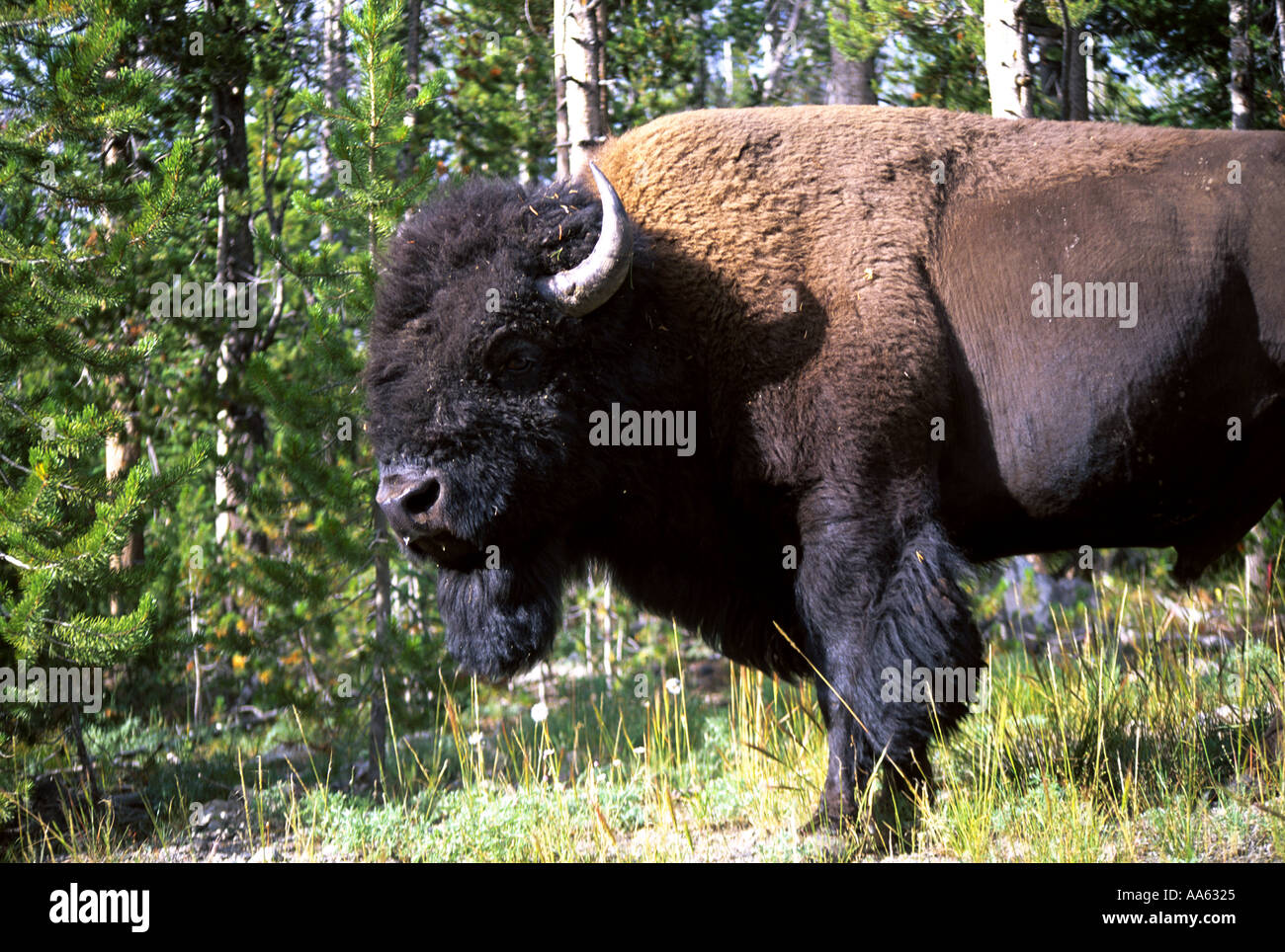 Parcs nationaux etats unis hi-res stock photography and images - Alamy