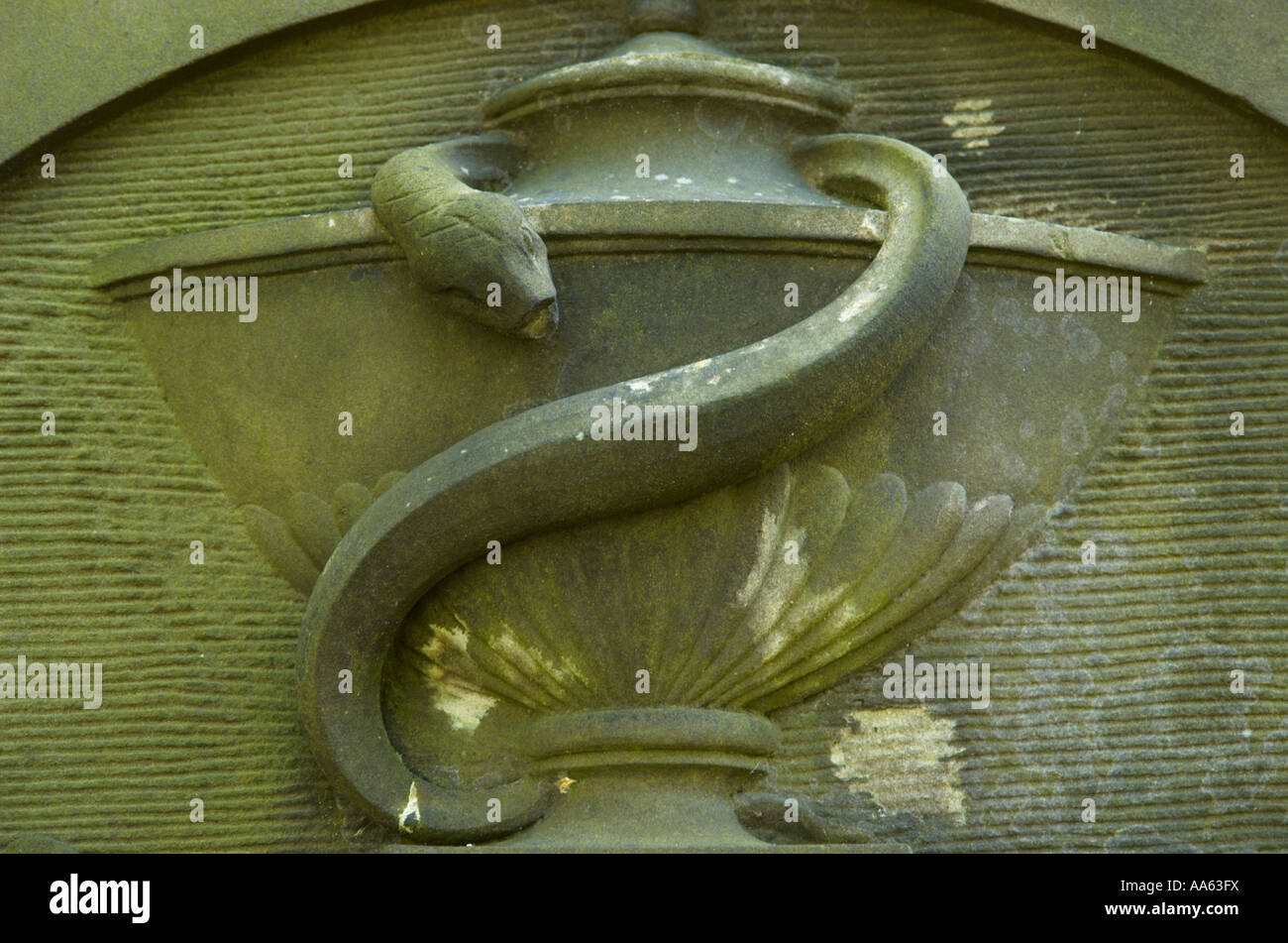 Snake macabre hi-res stock photography and images - Alamy