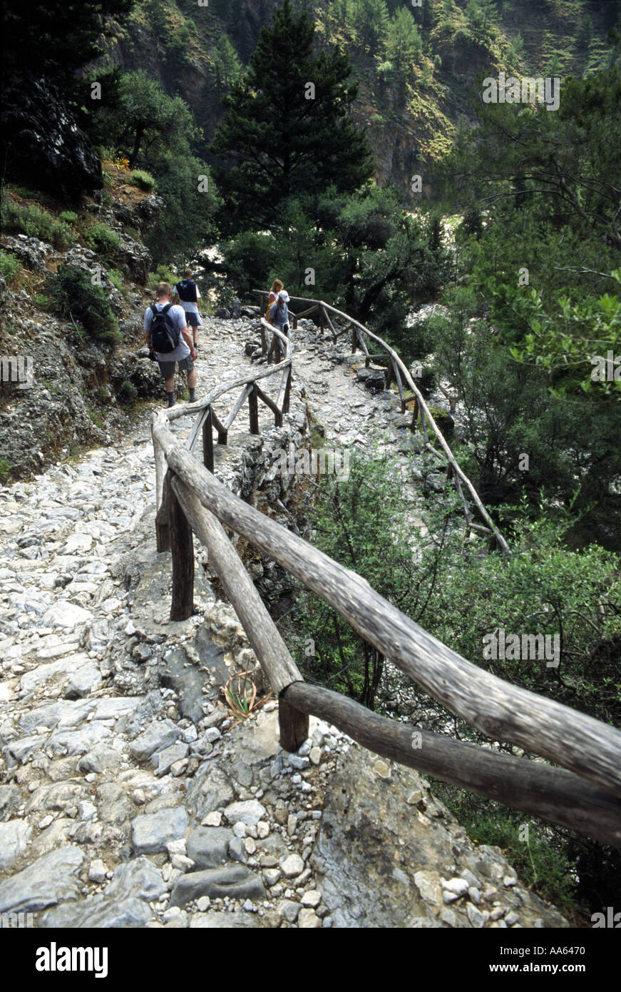 Back packers walking down the steep switchback trail with wooden ...