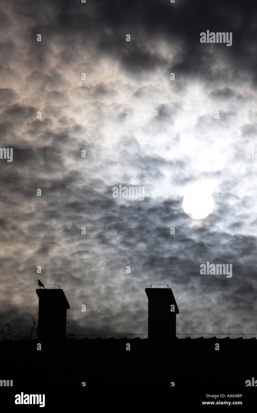 Gdansk, Poland, texture Stock Photo - Alamy