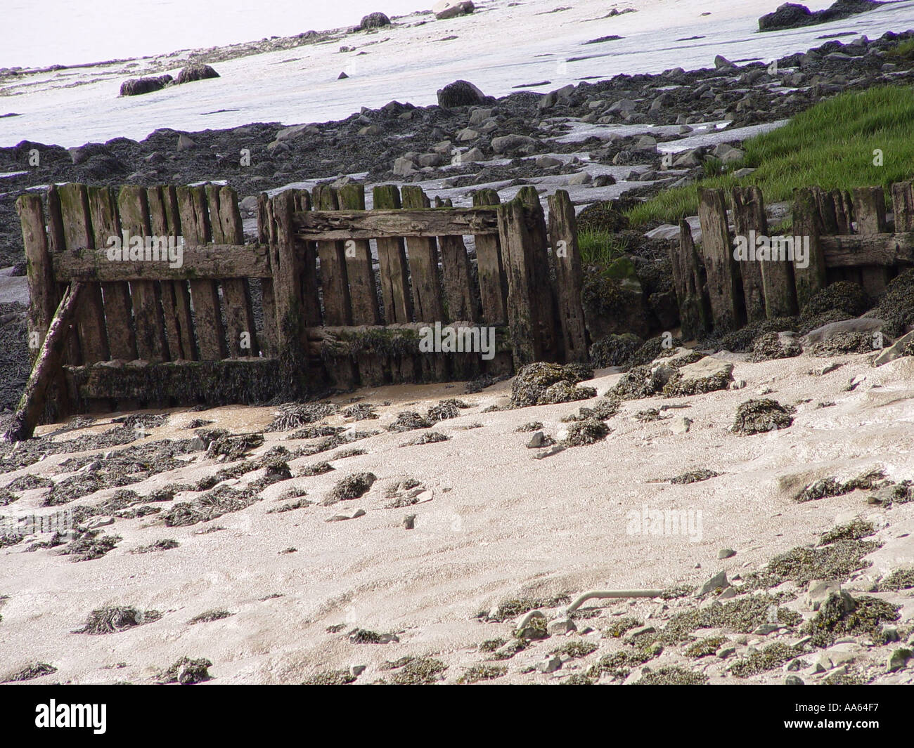 Aust ferry hi-res stock photography and images - Alamy