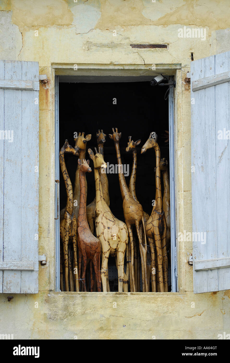 Giraffe in window hi-res stock photography and images - Alamy