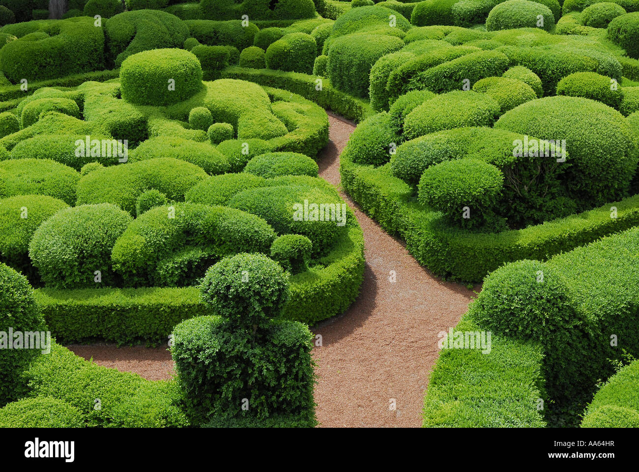 Unusual clipped hedges hi-res stock photography and images - Alamy