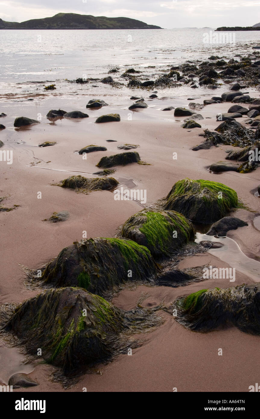 Rocks on a sandy beach, Achiltibuie, Scotland Stock Photo - Alamy