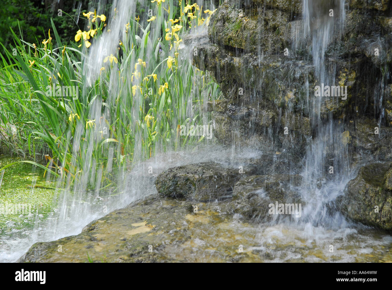 garden water feature Stock Photo - Alamy