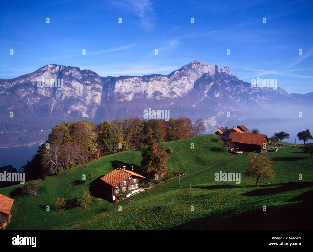 Peaceful alpine scene high in the Swiss alps Stock Photo - Alamy