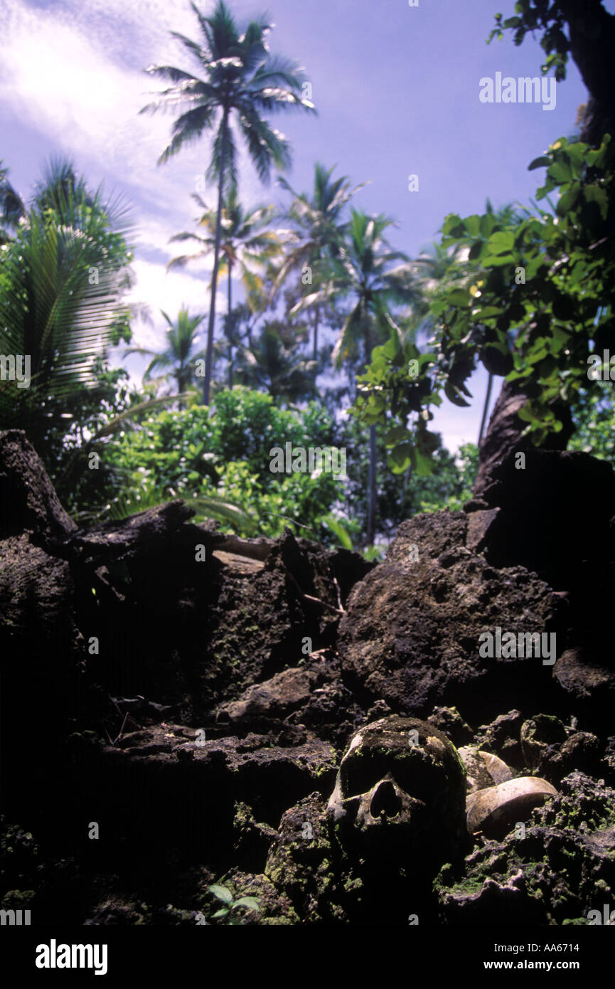 Human skull and ancient shell money Solomon Islands Stock Photo - Alamy