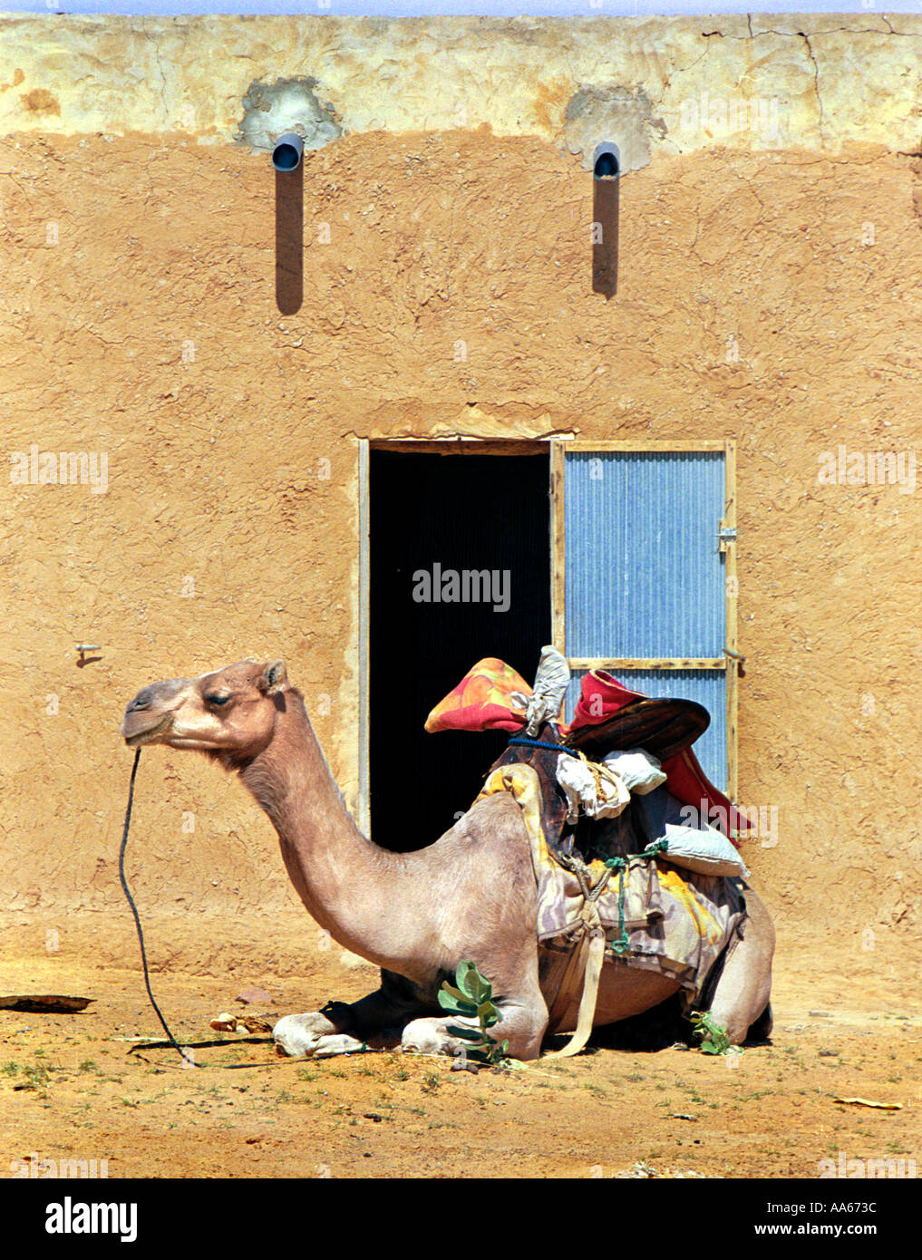 Camel boat hi-res stock photography and images - Alamy
