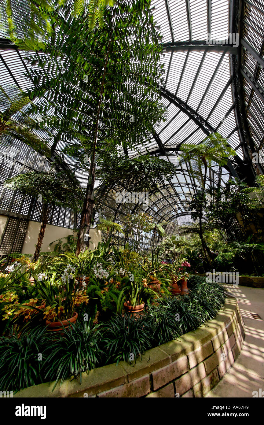 Old botanical photograph hi-res stock photography and images - Alamy