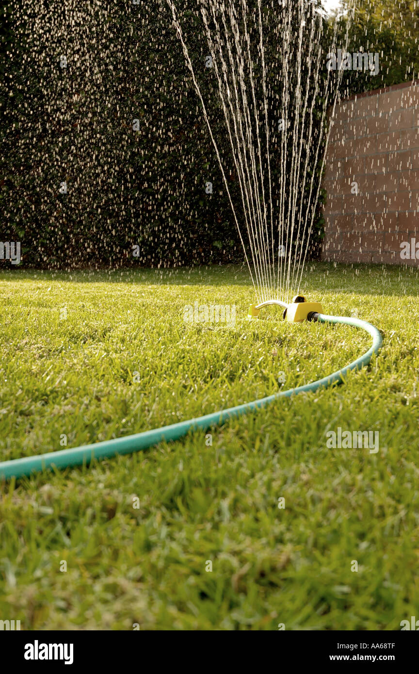 An oscillating lawn sprinkler watering backyard grass Stock Photo - Alamy