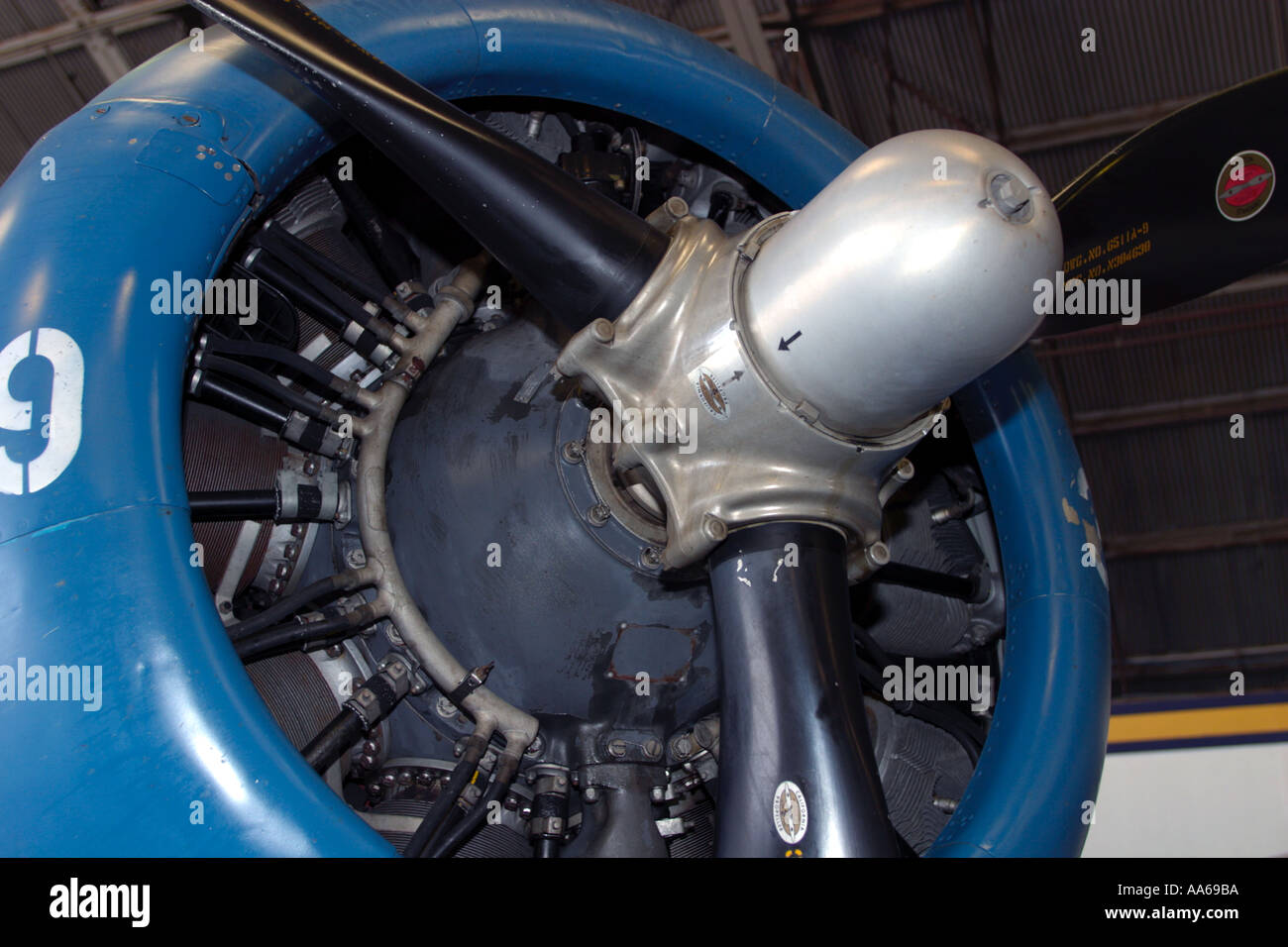 Douglas A-24 Dauntless Dive Bomber Engine and Propellor Detail Stock ...