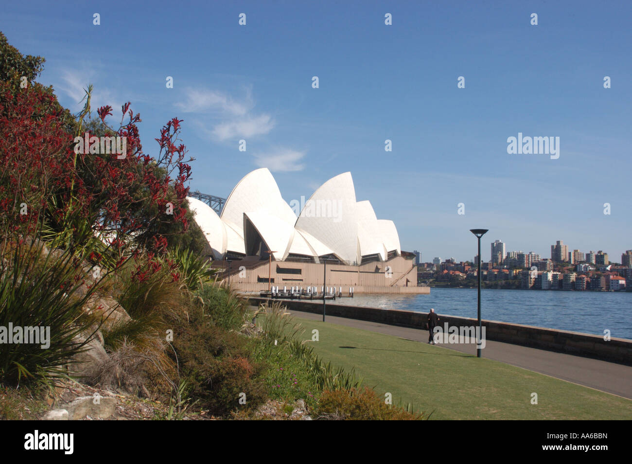Sydney Opera House from the Botanical gardens Stock Photo - Alamy