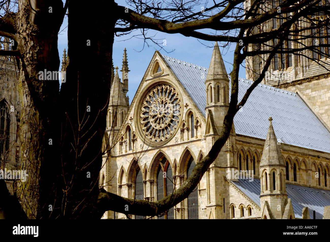 The Rose Window on York Minster's South facade glimpsed through the ...
