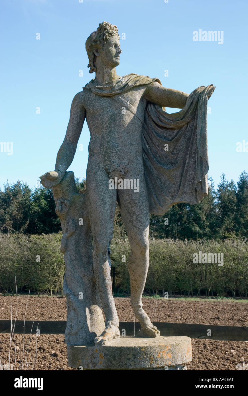 Statue of apollo belvedere hi-res stock photography and images - Alamy