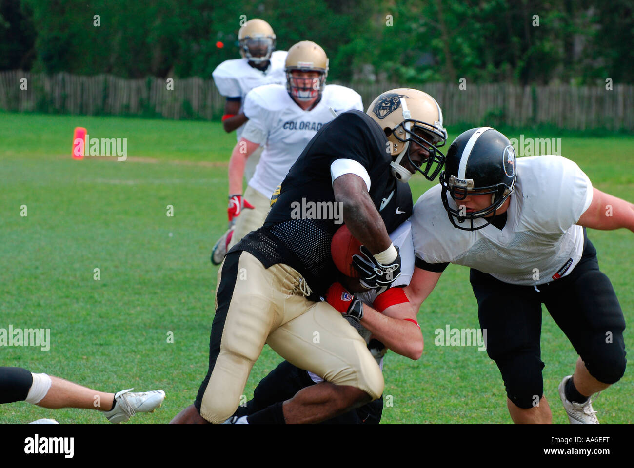 American Football running back Stock Photo - Alamy