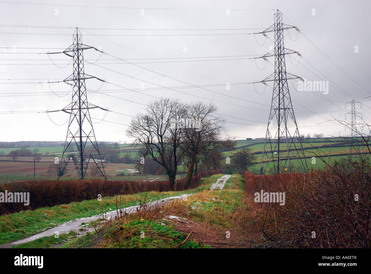 Pylons and Country Lane Stock Photo - Alamy