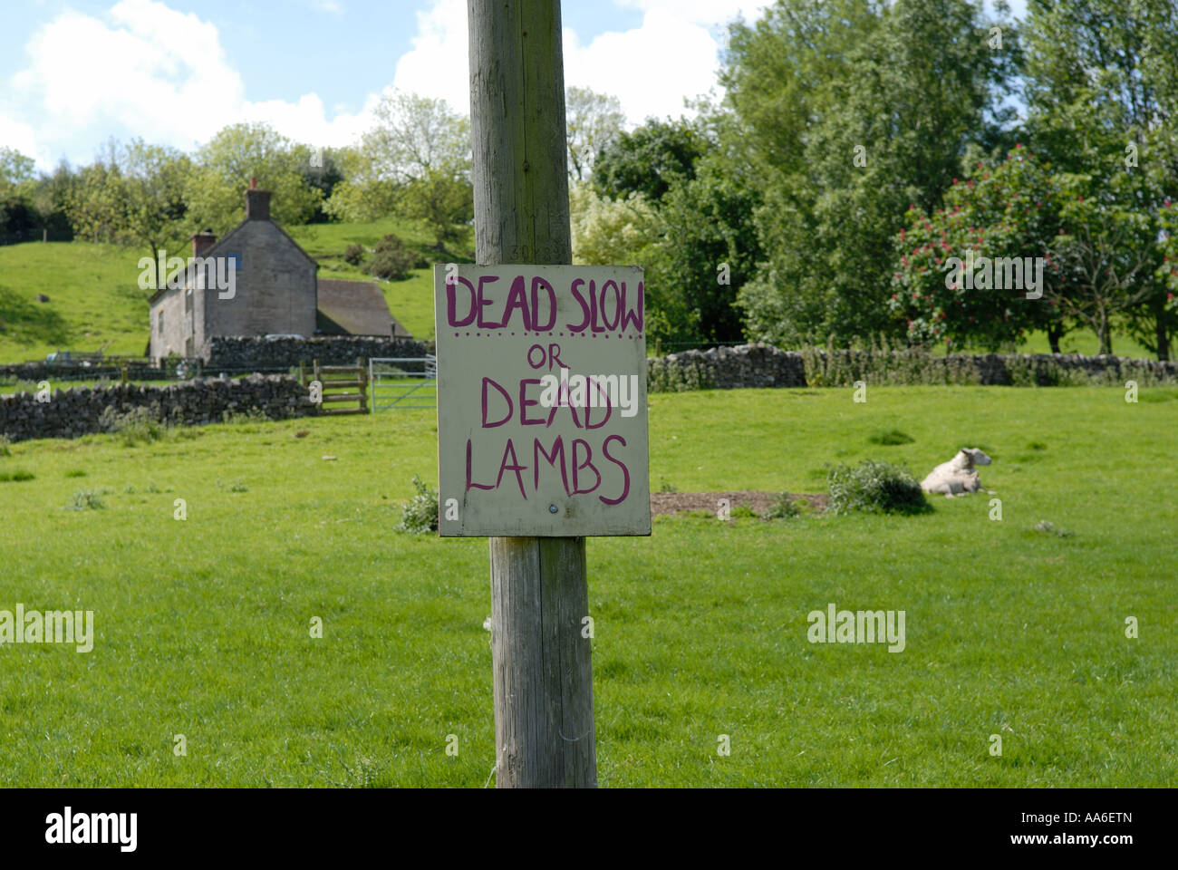 Sheep lambing sign hi-res stock photography and images - Alamy