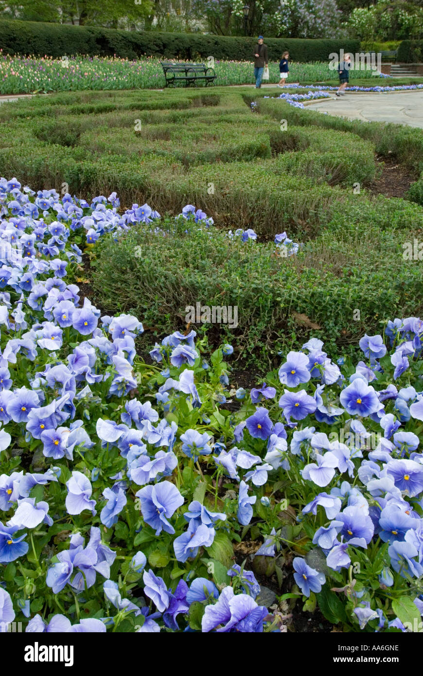 Central park flowers in spring hi-res stock photography and images - Alamy
