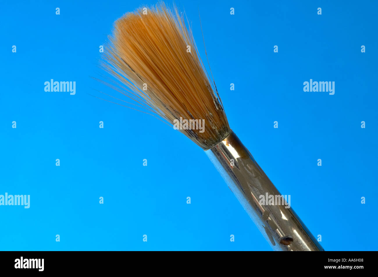 Artists paint brush after cleaning Stock Photo - Alamy