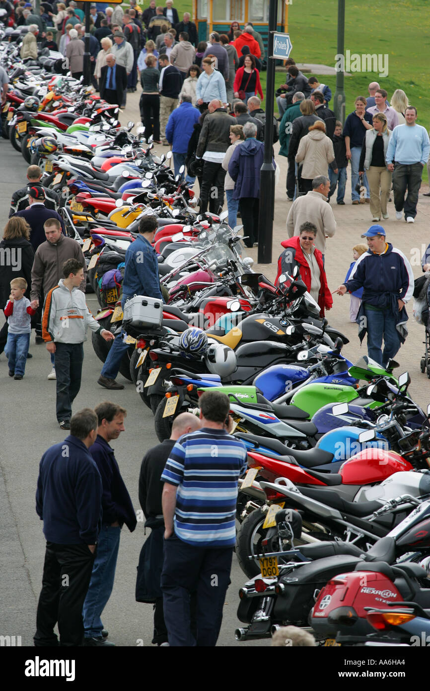 Long row of hundreds of brightly coloured motorbikes parked on the ...