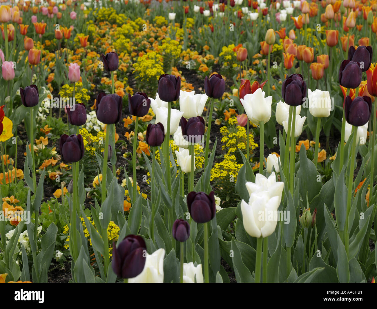 BUGA 2005, Federal Garden Exhibition 2005 Munich, Bundesgartenschau ...
