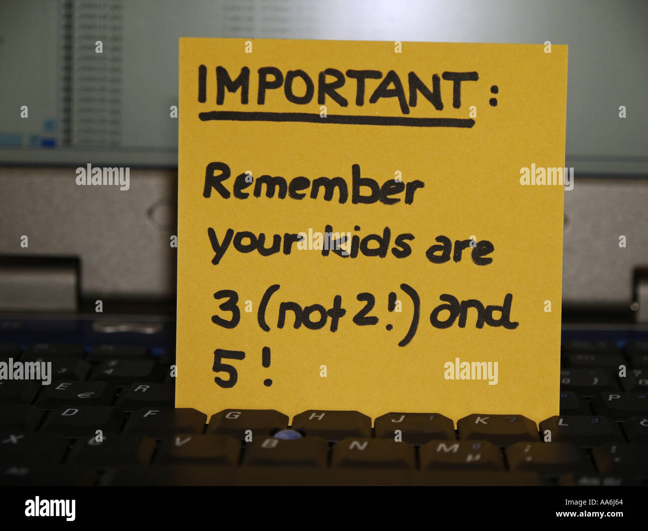 memo note on notebook important remember your kids are three not two ...