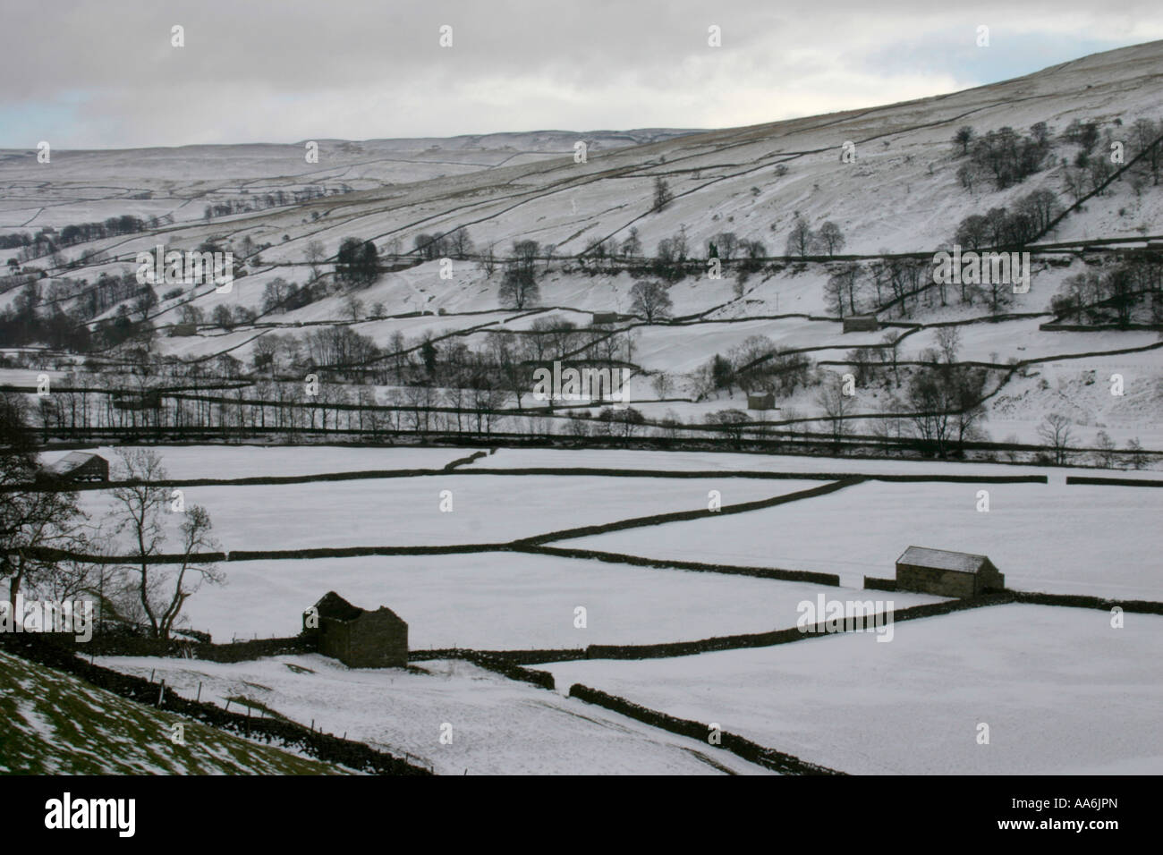 field patchwork near Gunnerside village Swaledale, North Yorkshire ...