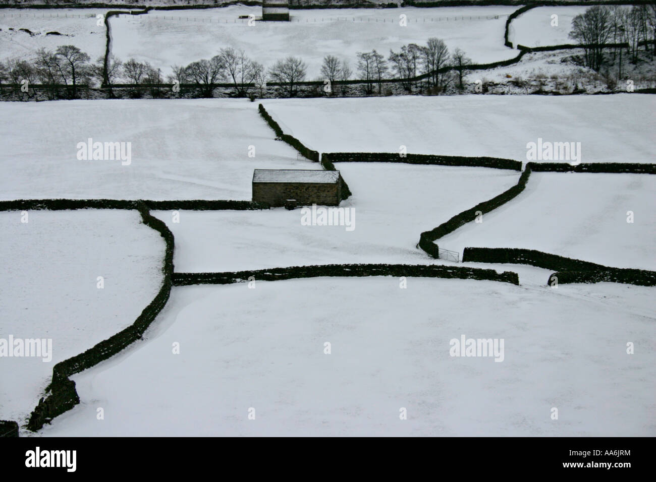 field patchwork near Gunnerside village Swaledale, North Yorkshire ...