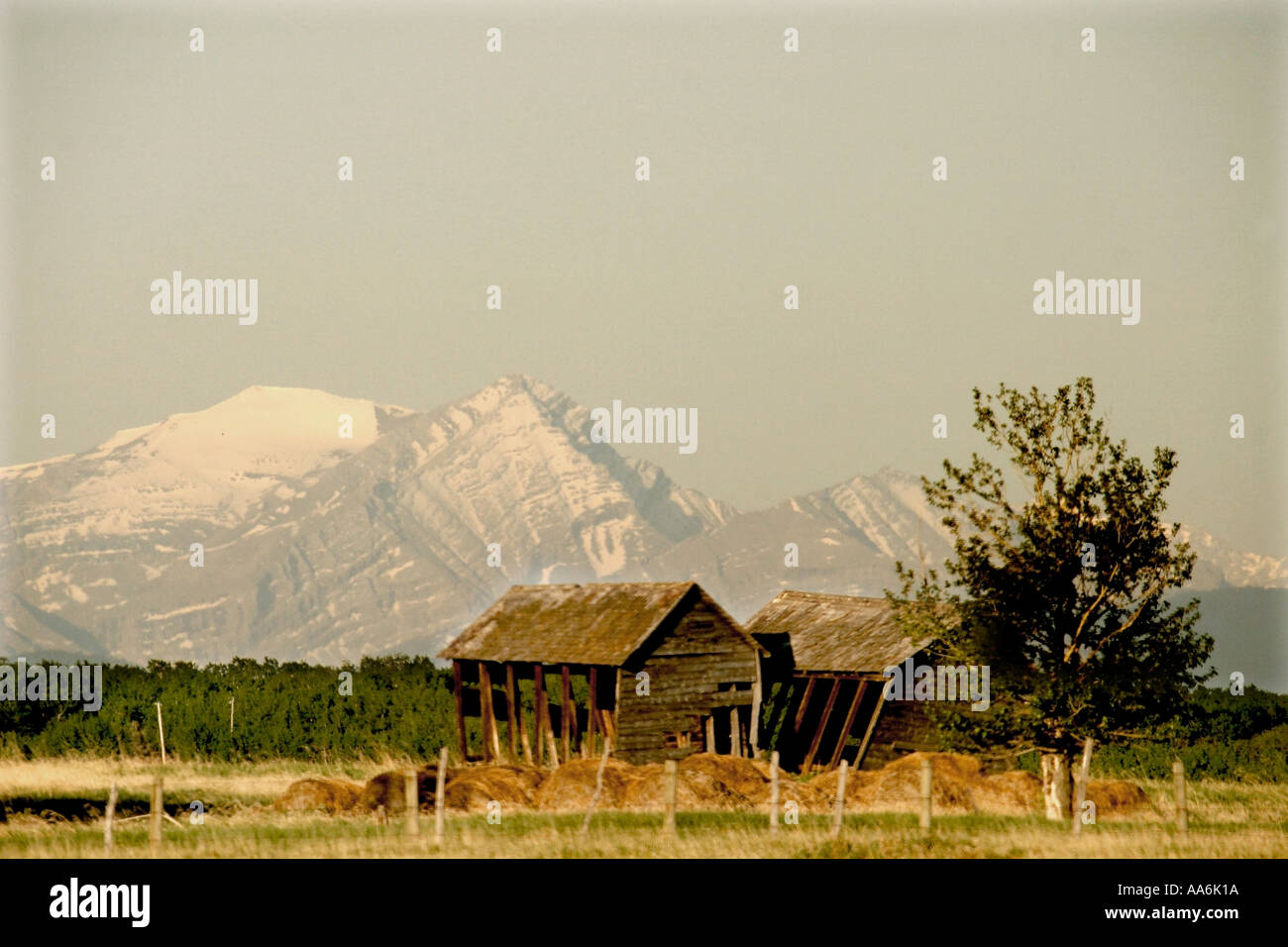 Old granaries standing in the shadows of the might Canadian Rockies ...