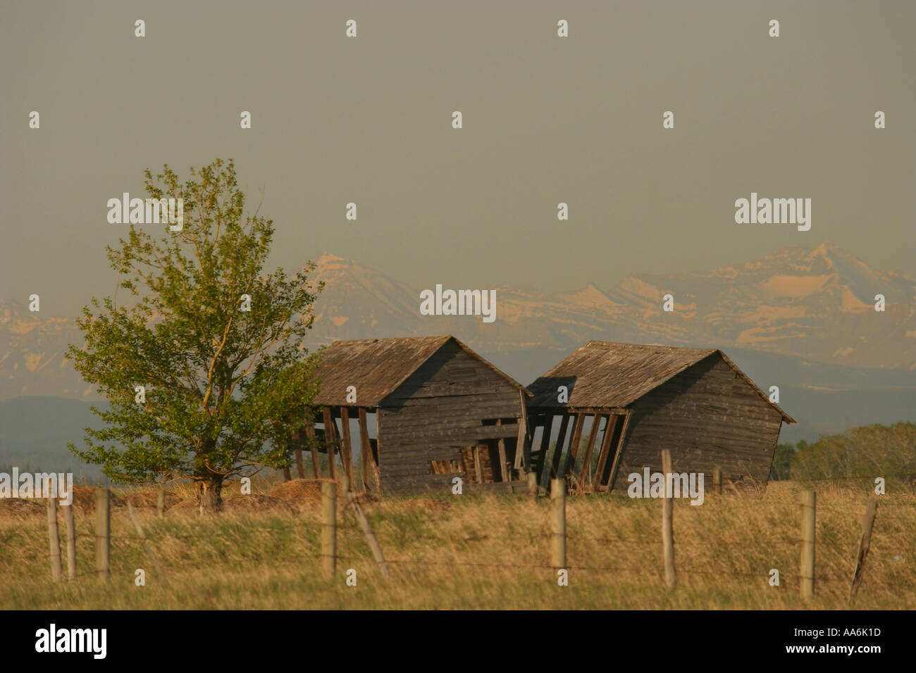Old granaries standing in the shadows of the might Canadian Rockies ...
