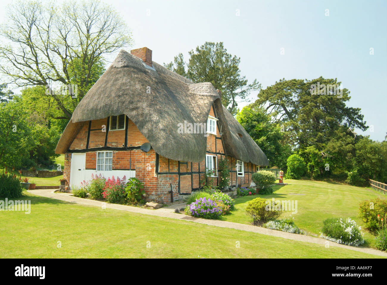 Traditional English thatched country cottage in a beatiful lawned ...
