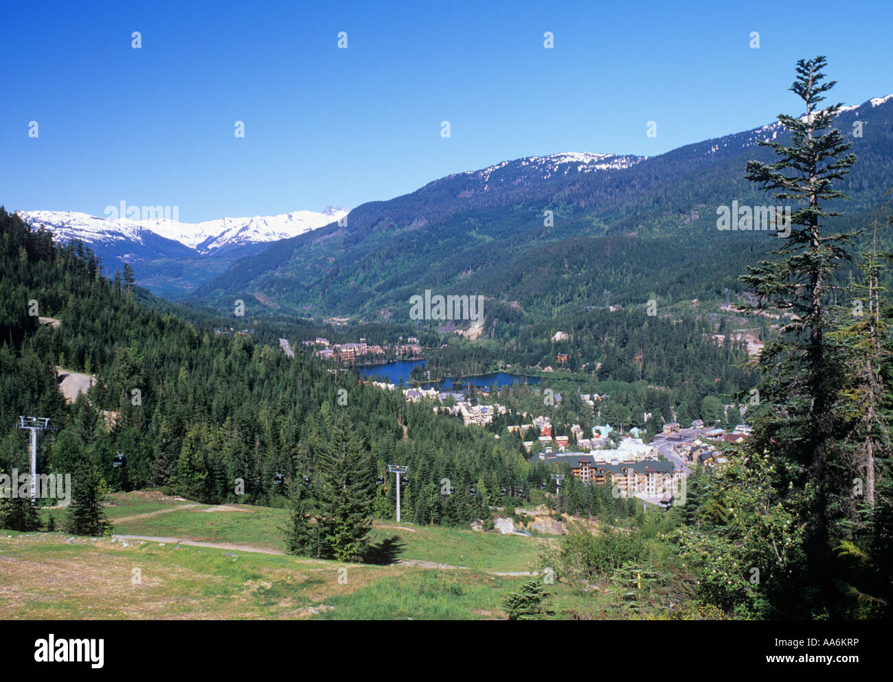 WHISTLER VALLEY Alpha Lake and Whistler Creekside from Talliswood in ...
