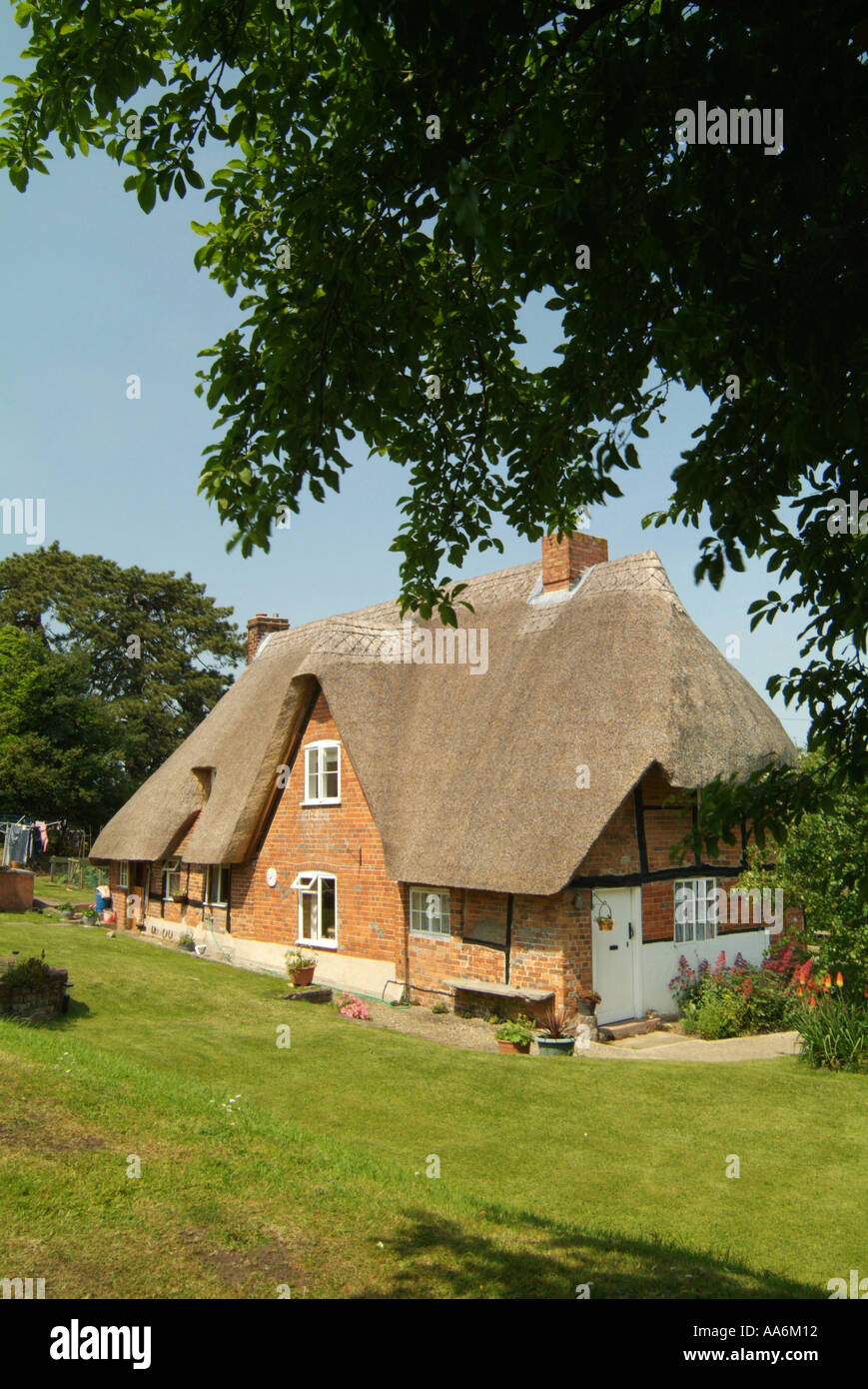 Traditional English thatched country cottage in a beautiful lawned ...