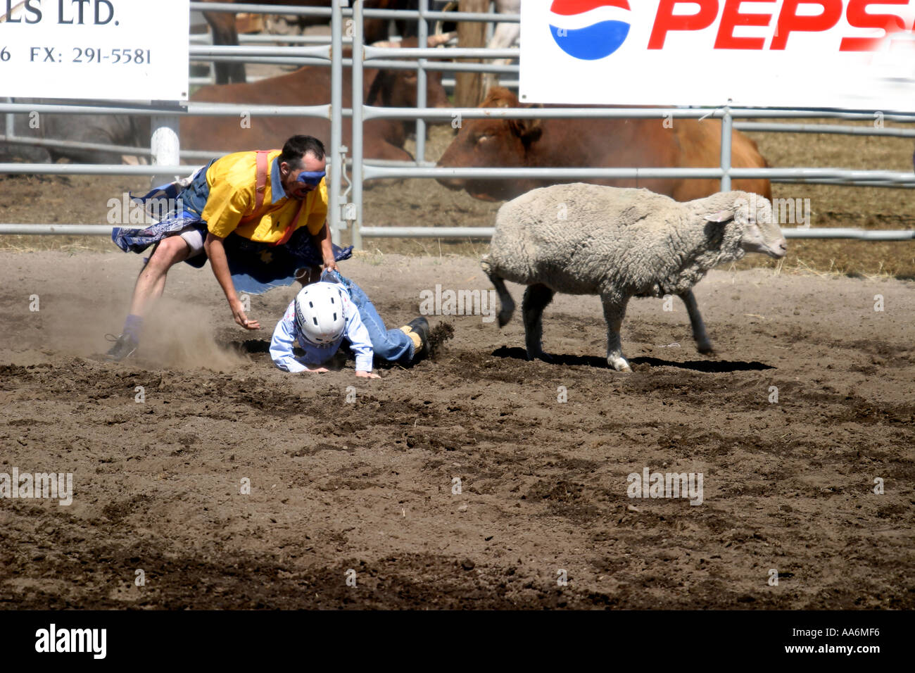 Mutton busters hi-res stock photography and images - Alamy