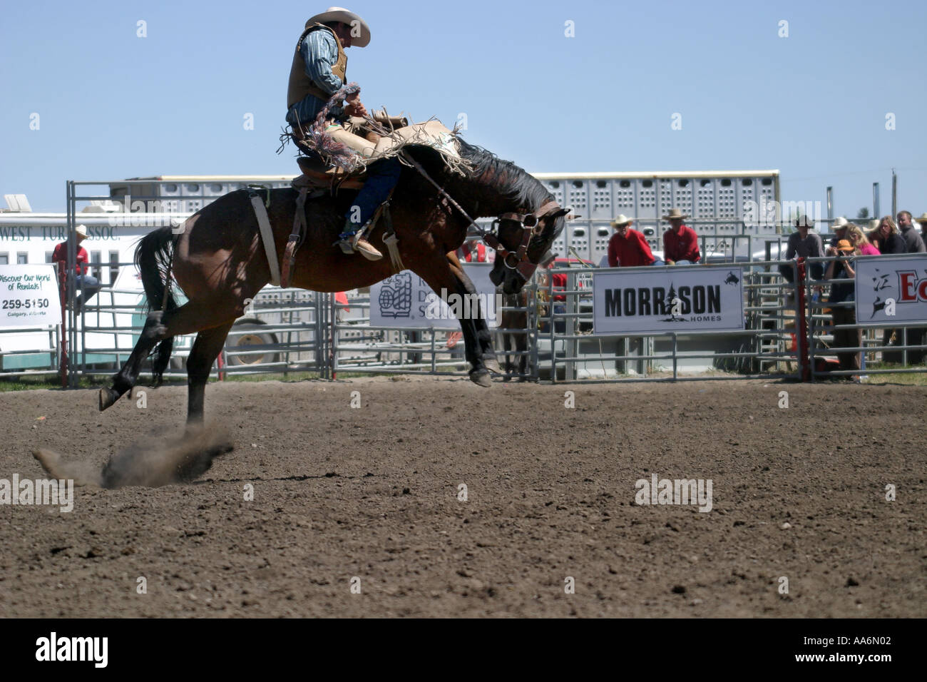Rodeo Alberta Canada Bronco Riding Stock Photo - Alamy