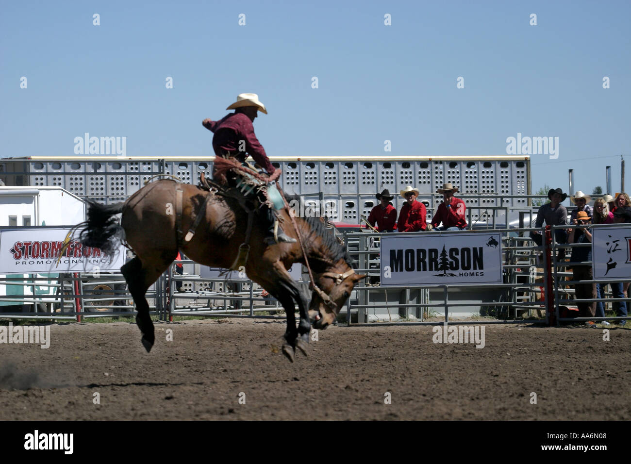 Rodeo Alberta Canada Bronco Riding Stock Photo - Alamy