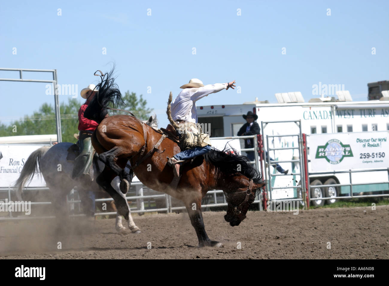Rodeo Alberta Canada Bronco Riding Stock Photo - Alamy