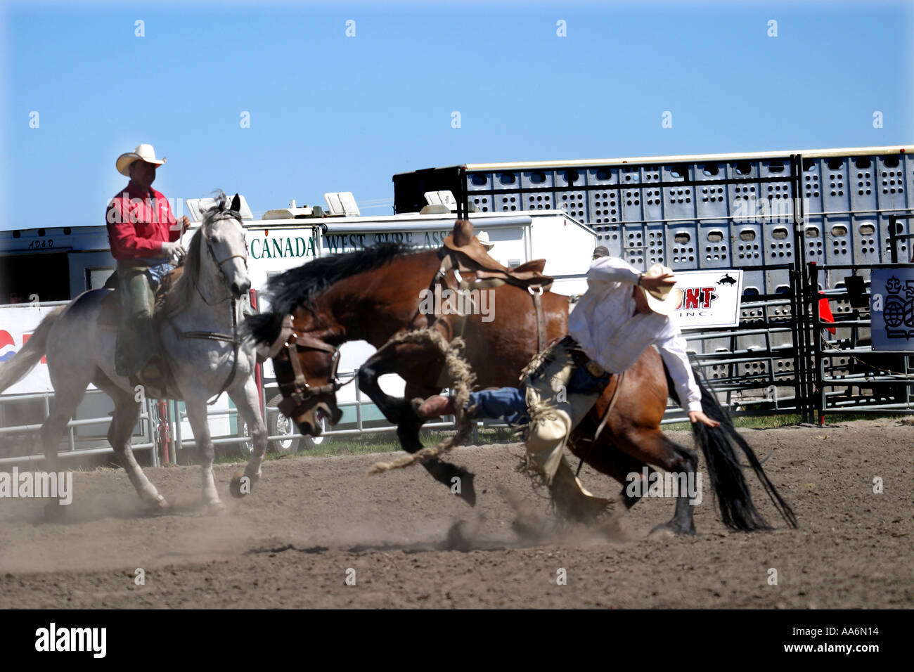 Rodeo Alberta Canada Bronco Riding Stock Photo - Alamy