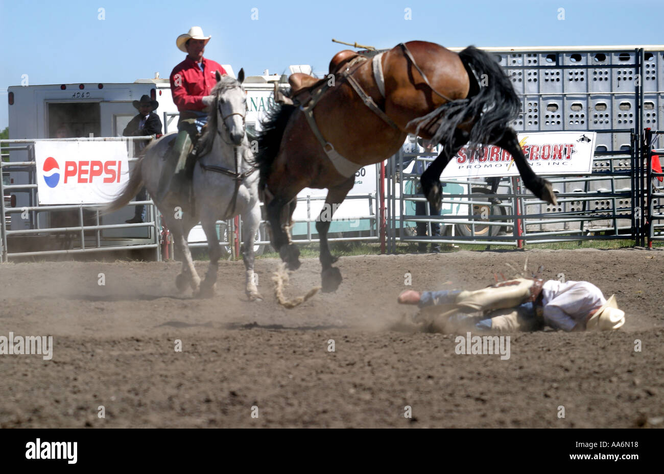 Rodeo Alberta Canada Bronco Riding Stock Photo - Alamy
