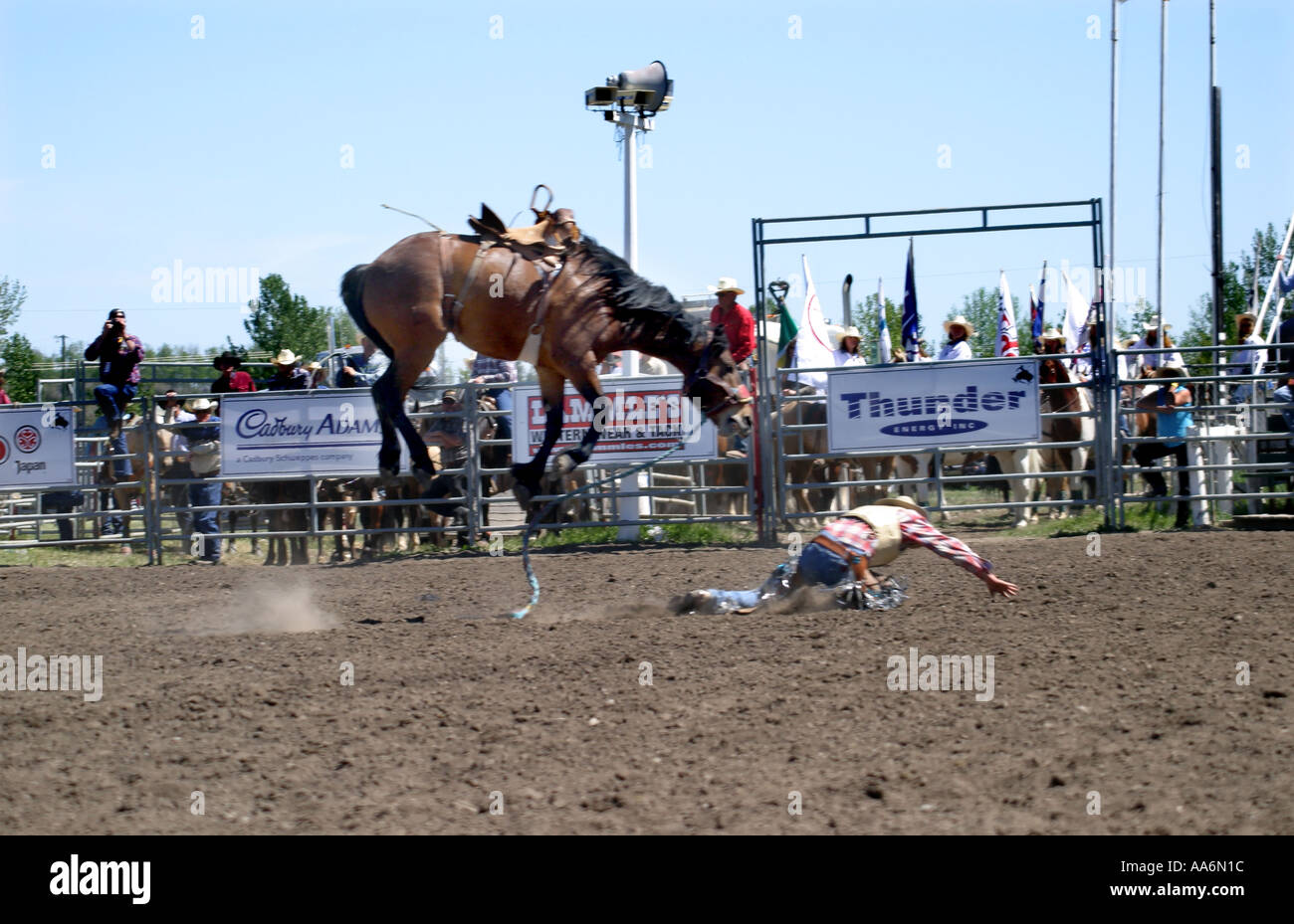 Rodeo Alberta Canada Bronco Riding Stock Photo - Alamy